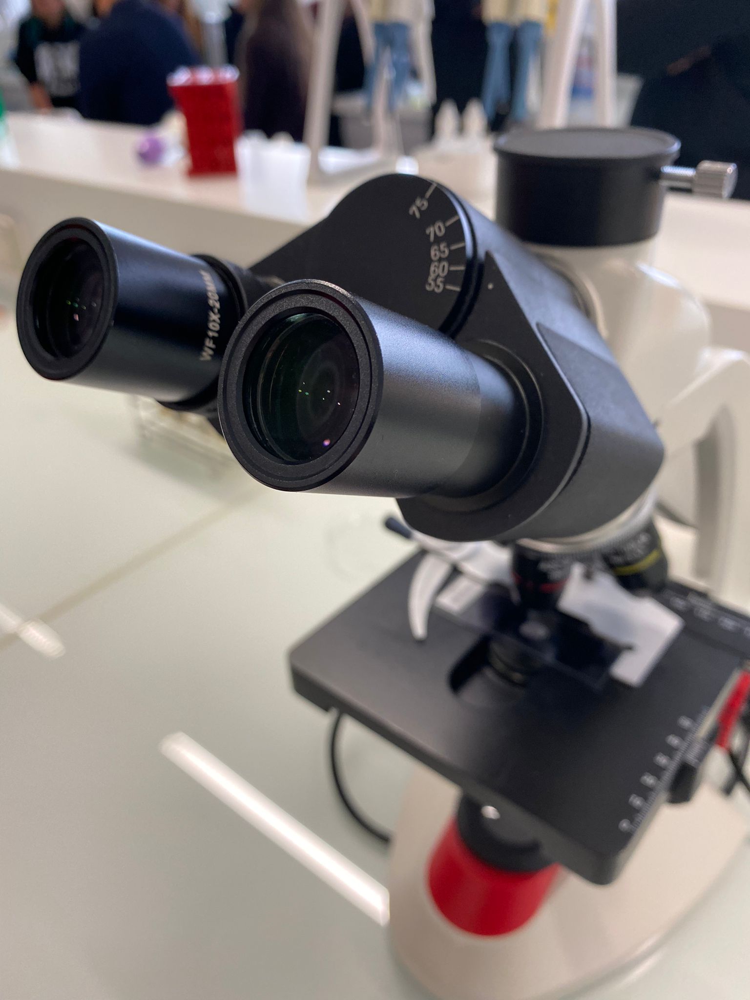 Recherche et innovation | Académie de Bordeaux