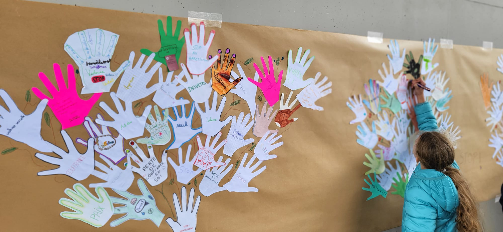 Journée NAH 2023 dans les Pyrénées-Atlantiques | Académie de Bordeaux